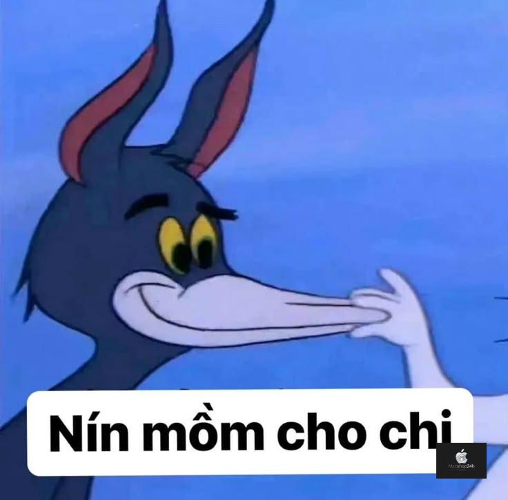 75+ Meme Chửi Hài Hước Khiến Bạn “Cạn Lời”